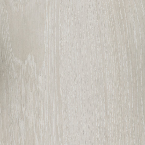 Winter Oak Sample | Joss & Main